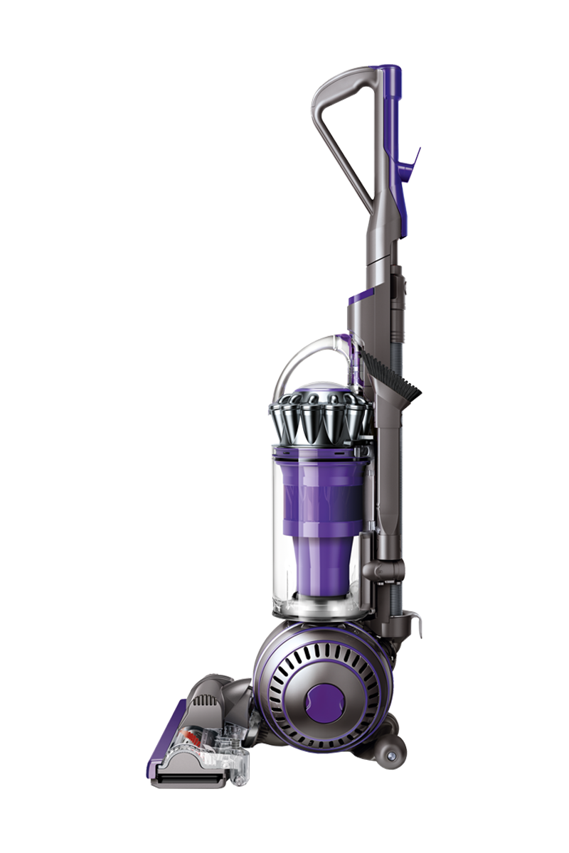 dyson animal 2 problems